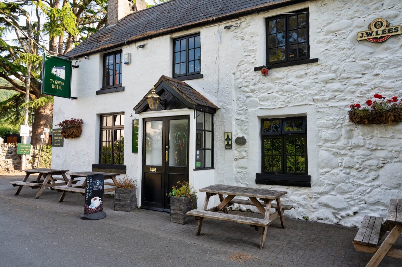 A Guide to Rowen | Ty Pandy